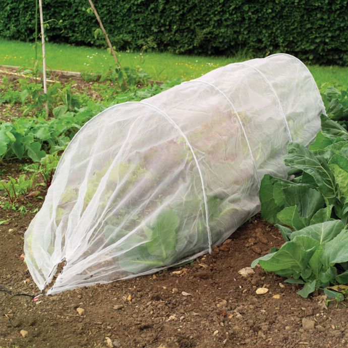 Extra Large Garden Cloche | Fasci Garden