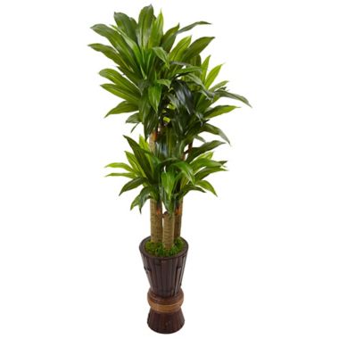 Nearly Natural 5-Foot Cornstalk Dracaena Tree in Bamboo Planter | Bed ...