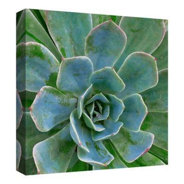 Robin Constable Hanson Awakening Canvas Wall Art | Bed Bath & Beyond