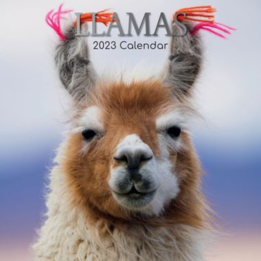 The Gifted Stationery 2023 Square Wall Calendar, Llamas, 16-Month ...